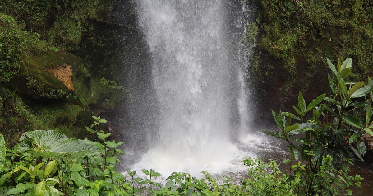 Las cascadas más altas de Colombia: excursión a La Chorrera | GetYourGuide