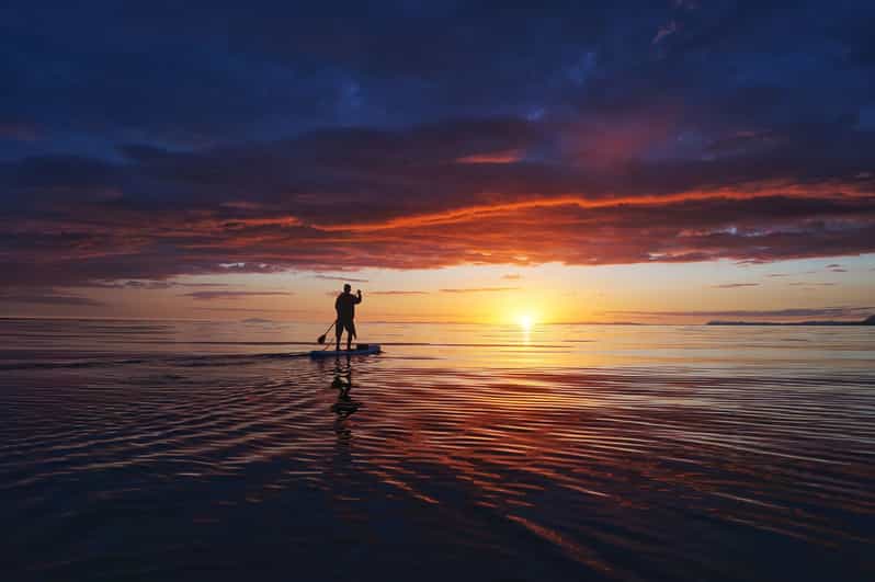 Excursión privada a remo al atardecer en Reikiavik | GetYourGuide