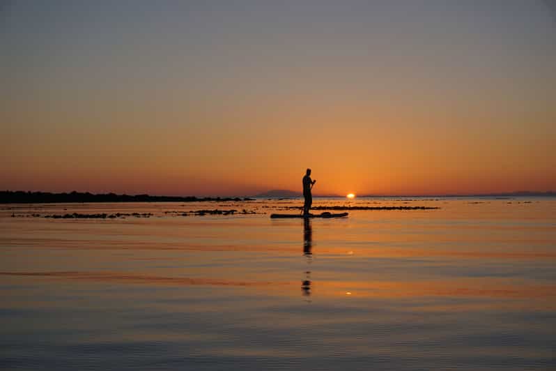 Excursión privada a remo al atardecer en Reikiavik | GetYourGuide