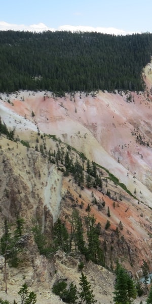 West Yellowstone: Yellowstone Day Tour Including Entry Fee | GetYourGuide