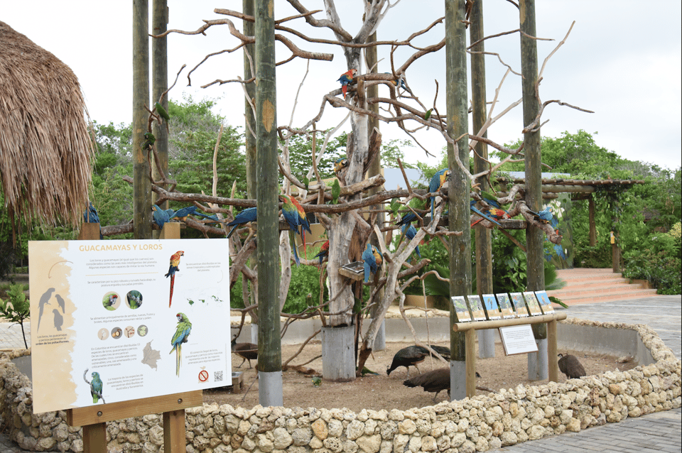 Cartagena: National Aviary of Colombia Entrance Tickets | GetYourGuide