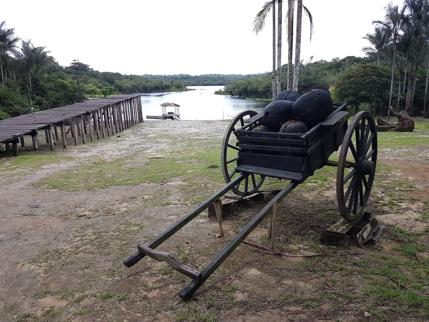Manaus: Museu do Seringal Rubber Museum | GetYourGuide