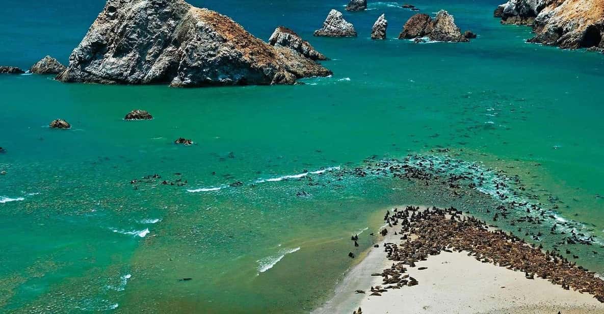 De Paraacas: Ilhas Ballestas + Reserva Nacional de Paracas | GetYourGuide