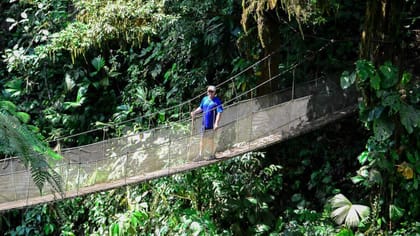 Manuel Antonio: Rainmaker Park Bridge & Waterfall Tour | GetYourGuide