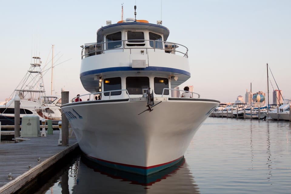 Atlantic City: Dolphin Watching Ocean Cruise Adventure | GetYourGuide