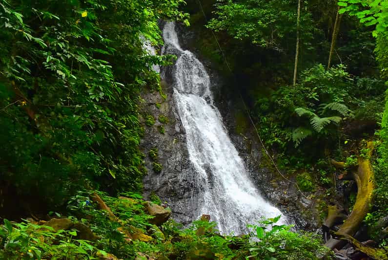 Jaco Beach: Jaco Jaco: Extreme Waterfall Canyoning | GetYourGuide