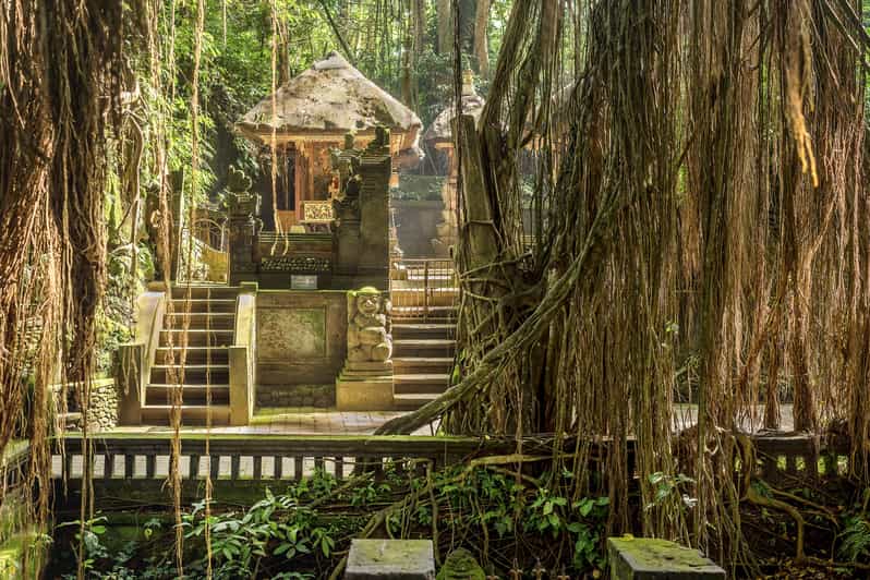 Ubud: Waterfall, Rice Terraces & Monkey Forest Private Tour | GetYourGuide