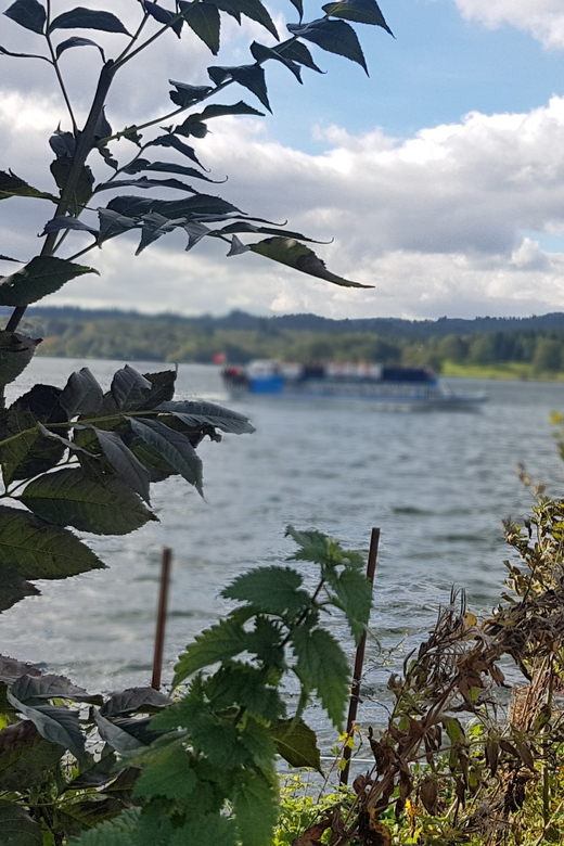 From Manchester: Lake District Sightseeing Day Trip | GetYourGuide