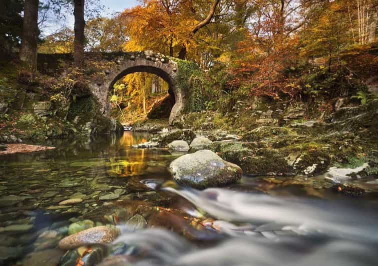 Newcastle: Game of Thrones - Tollymore Forest Trek | GetYourGuide