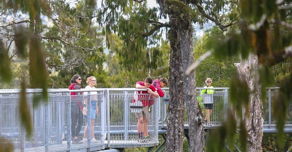 Hokitika: West Coast Treetop Walkway Entrance Ticket | GetYourGuide