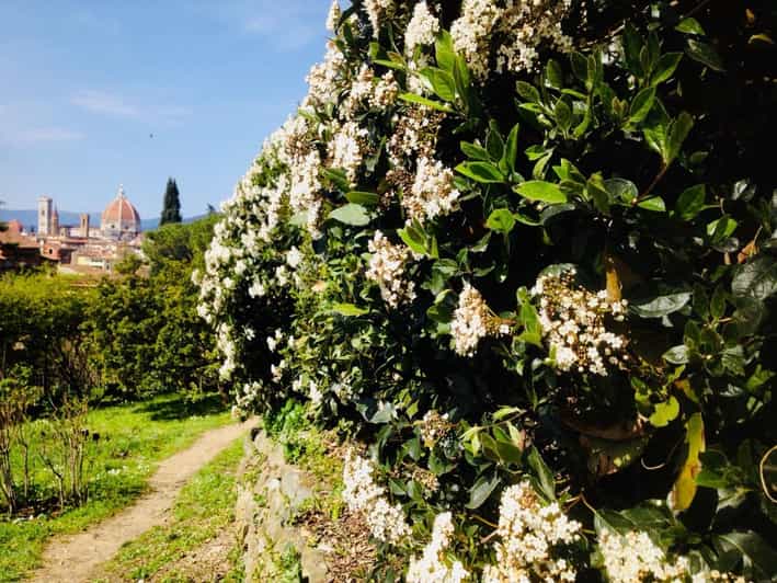 Florencja: Kopuła prywatnego Brunelleschiego i piesza wycieczka po ...