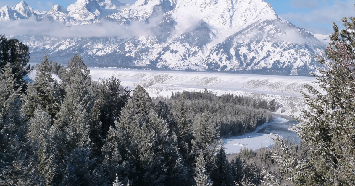 Jackson: Grand Teton National Park Half-Day Small-Bus Tour | GetYourGuide