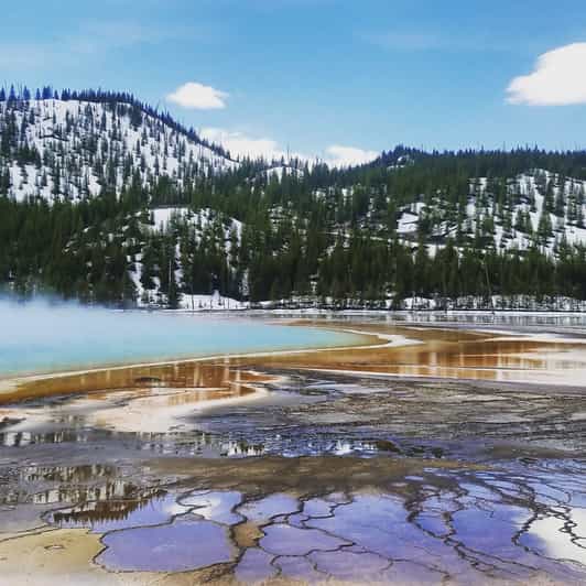 Jackson, Wyoming: Full-Day Yellowstone Lower Loop Tour | GetYourGuide