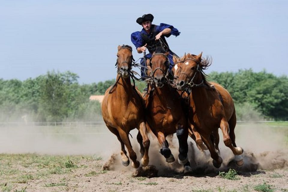 Puszta Full-Day Tour from Budapest with Lunch | GetYourGuide