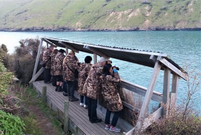 Akaroa: Pohatu Little Penguins 3-Hour Evening Experience | GetYourGuide