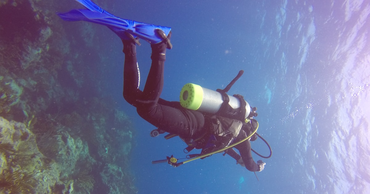 Discover Scuba Diving on St. Maarten | GetYourGuide