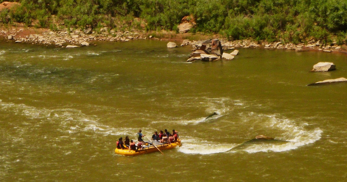 Full Day Colorado Rafting Tour from Moab | GetYourGuide