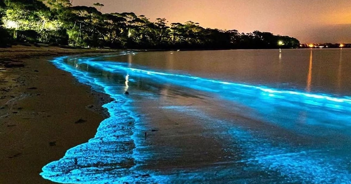 Cat ba eiland : Lan Ha Baai Bioluminescentie Plankton kajakken | GetYourGuide