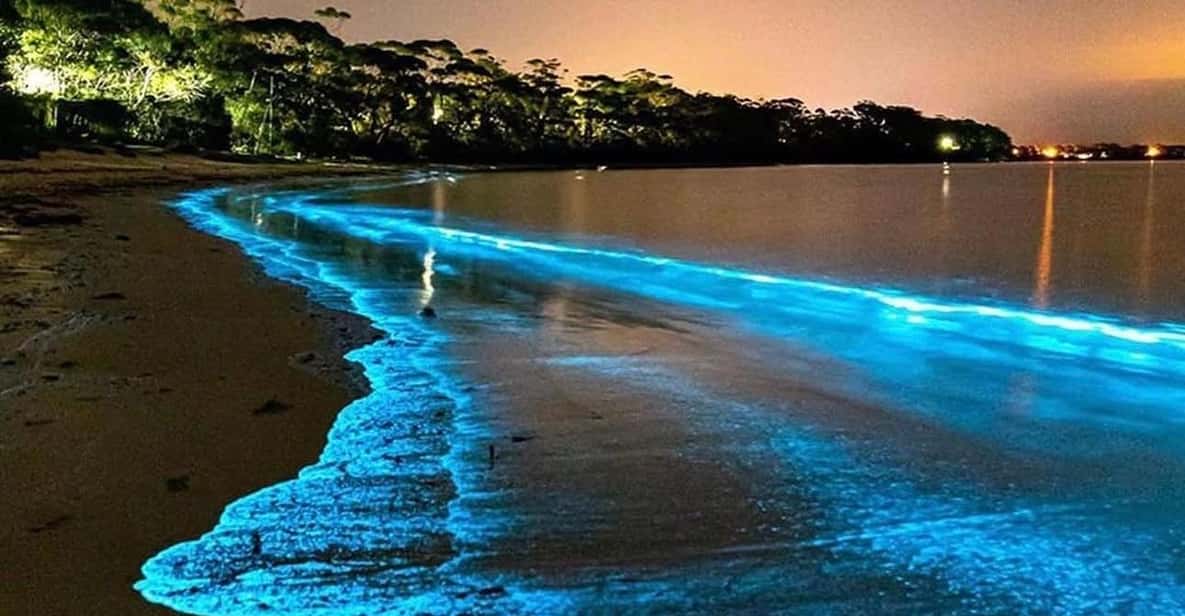 Νησί Cat Ba: Ba Ba: Lan Ha Bay Bioluminescence Plankton Kayaking: Lan ...