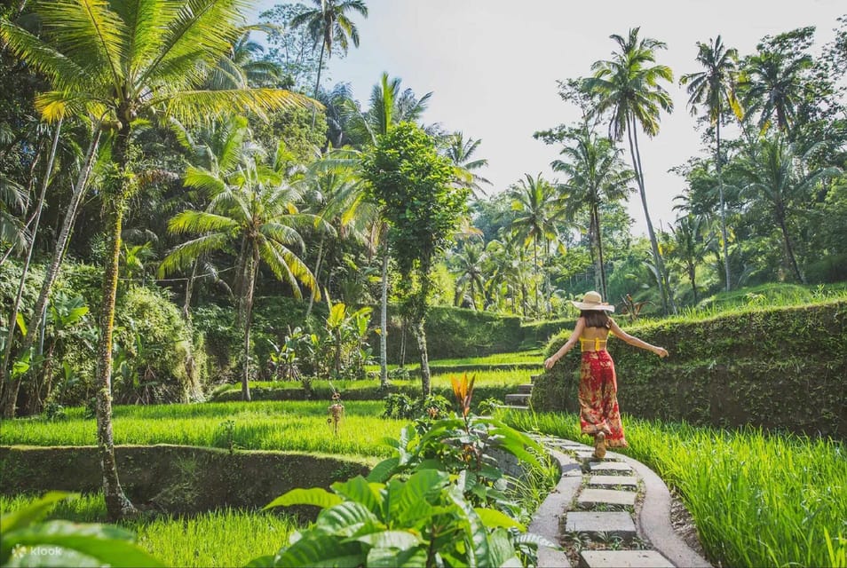 Ubud: Tis Cafe Tegallalang,Alas Harum & Waterfall Day Tour | GetYourGuide