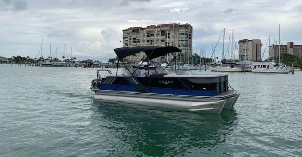 Pantai Madeira: Sewaan Bot Pontoon Tanpa Kapten | GetYourGuide