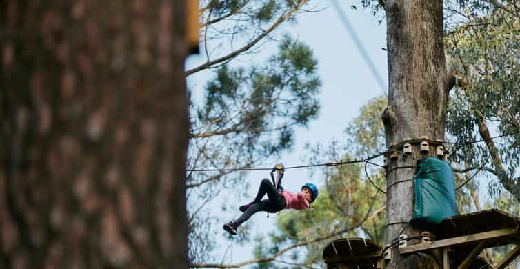 Busselton: Forest Adventure with Zip Lining and Rope Course | GetYourGuide