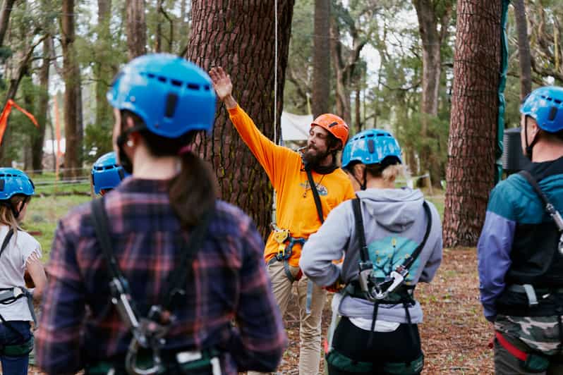 Busselton: Forest Adventure with Zip Lining and Rope Course | GetYourGuide