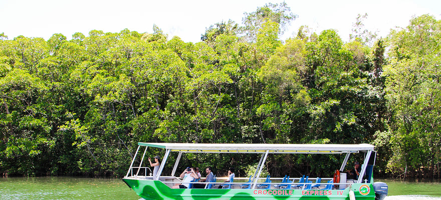 The BEST Mount Alexandra Lookout, Daintree National Park Cruises & boat ...