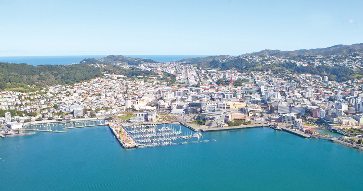 Wellington: volo panoramico in elicottero sulla costa meridionale ...