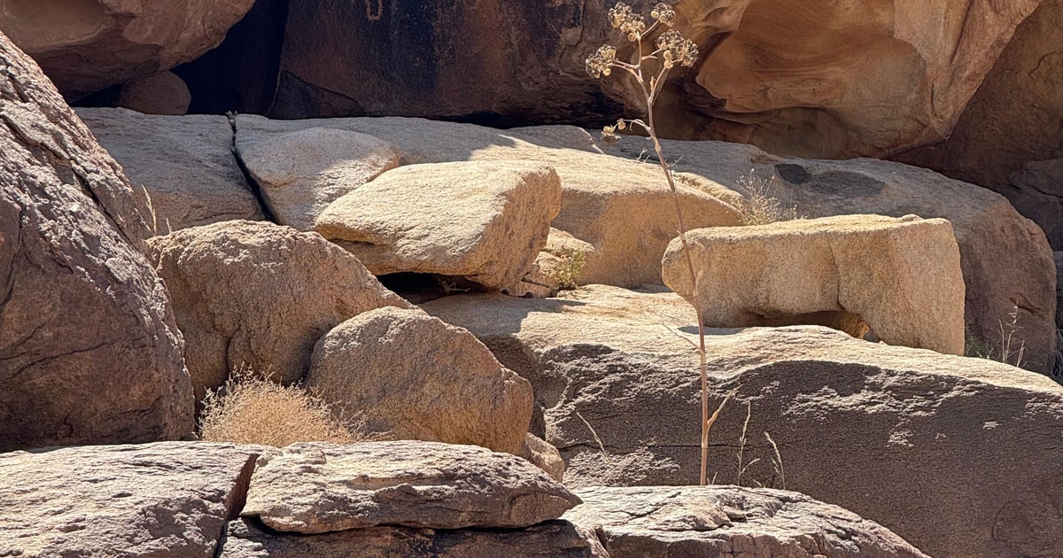 Jabal al-Lawz | GetYourGuide
