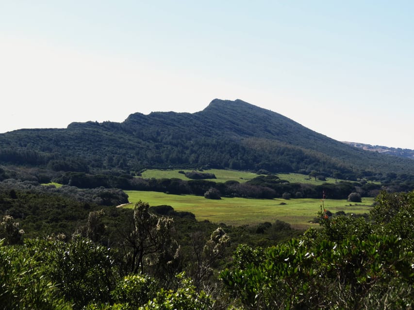 Hiking tour to Highest Limestone Cliff in Europe | GetYourGuide