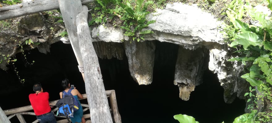 TOP Mérida, Meksyk Parki narodowe 2024 – DARMOWA rezygnacja | GetYourGuide