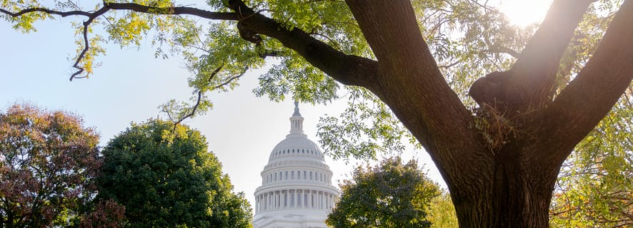 El Pentágono, Washington D. C. - Reserva de entradas y tours | GetYourGuide
