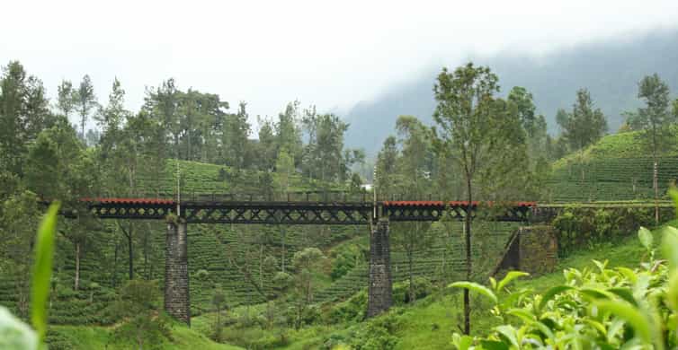 the Most Beautiful Places in Sri Lanka 3 days tour | GetYourGuide