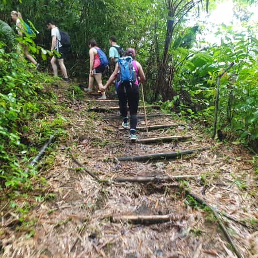 Kingstown: La Soufriere Volcano Hike | GetYourGuide