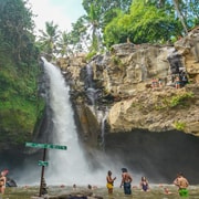 Ubud: All inclusive Tegallalang, Waterfall and Tirta Empul | GetYourGuide