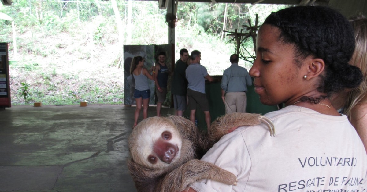 Panama: Monkey Island, Sloth Sanctuary Tour and Panama Canal | GetYourGuide
