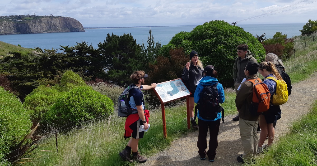 Lyttelton: Excursie aan wal, Godley Head, Tour in kleine groep ...