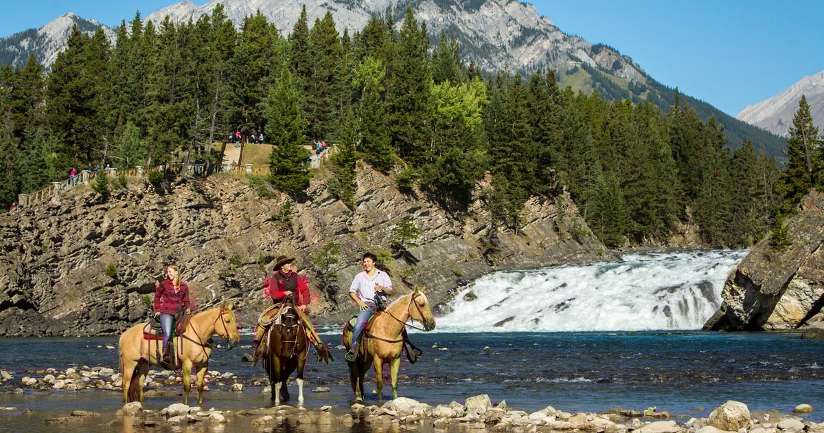 Banff: 4-Hour Sulphur Mountain Intermediate Horseback Ride | GetYourGuide