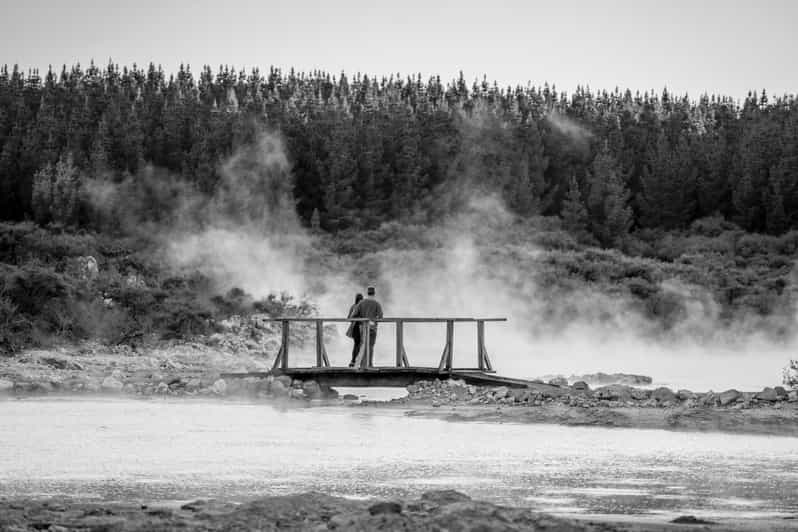Rotorua: Hell's Gate Geothermal Walk | GetYourGuide