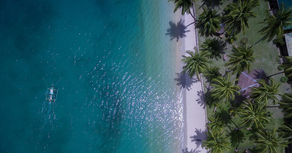 Port Barton: Island Hopping to Turtle Spot & Reefs | GetYourGuide