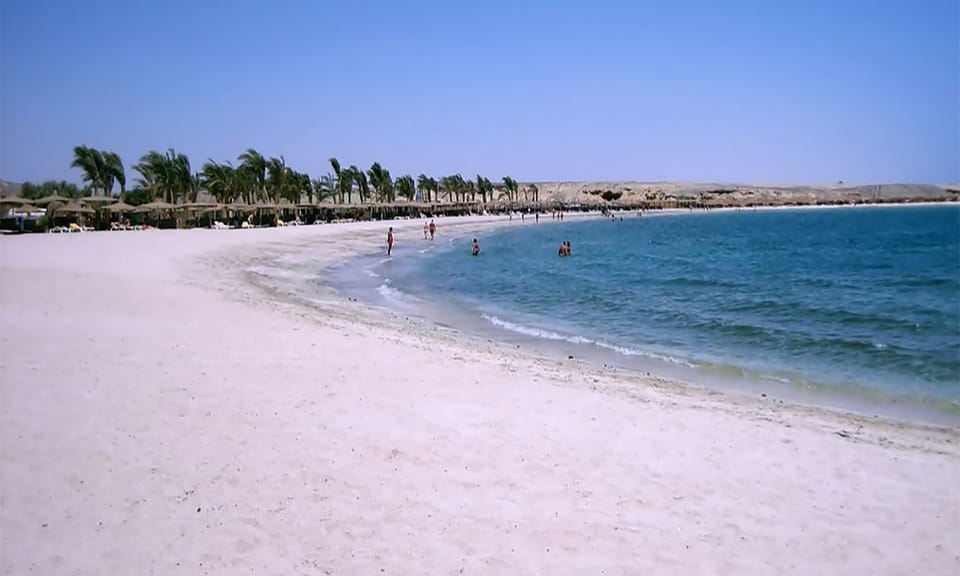 Marsa Alam: Tour di Abu Dabbab per lo snorkeling | GetYourGuide