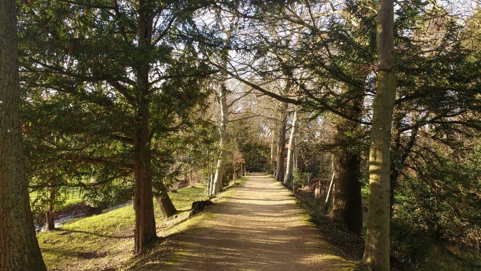 Oxford: C.S. Lewis y J.R.R. Tolkien Visita guiada a pie | GetYourGuide