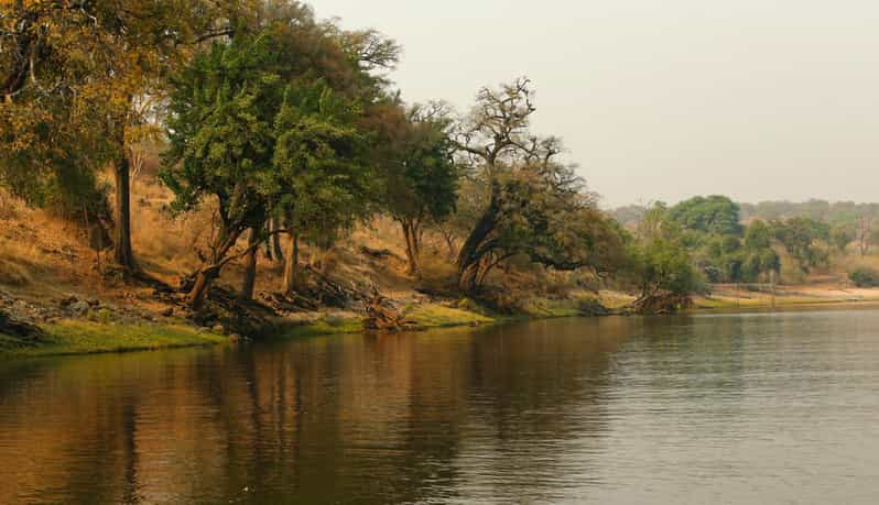 From Kasane: Chobe National Park Overnight Camping Safari | GetYourGuide