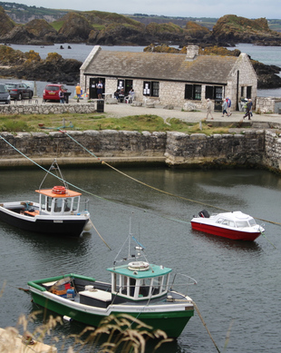 The BEST Bushmills Tours and Things to Do in 2024 - FREE Cancellation ...