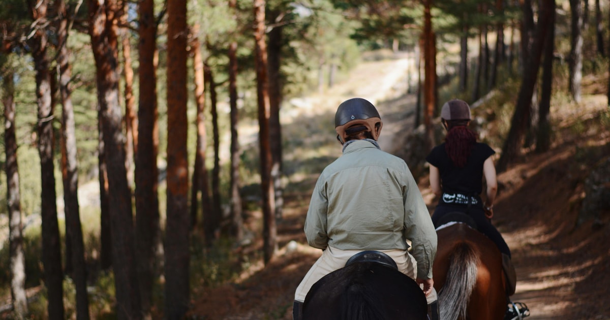 Madrid : Randonnée à cheval dans le parc national de la Sierra del ...