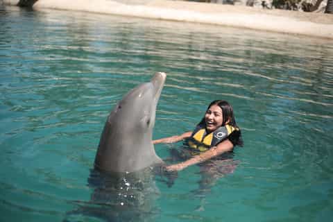 Ocean World Adventure Park, Puerto Plata - Book Tickets & Tours ...
