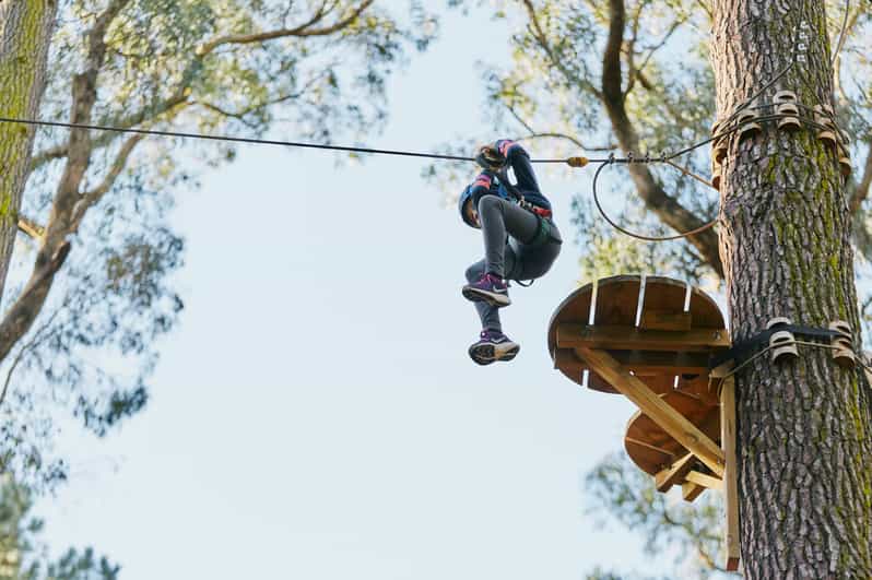 Busselton: Forest Adventure with Zip Lining and Rope Course | GetYourGuide