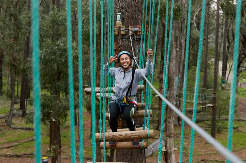 Busselton: Forest Adventure with Zip Lining and Rope Course | GetYourGuide