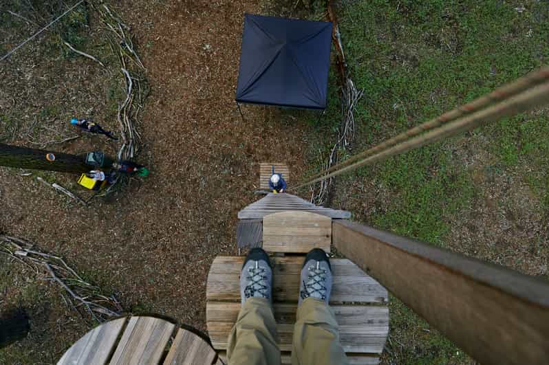 Busselton: Forest Adventure with Zip Lining and Rope Course | GetYourGuide